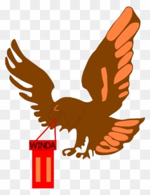 Red-tailed Hawk - Free Transparent PNG Clipart Images Download