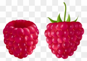 Berry Clipart Blue Raspberry - Clip Art Raspberry - Free Transparent ...