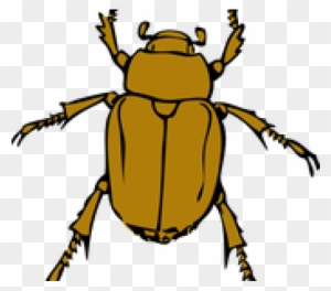 Dead Bug Cliparts - Beetle Bug - Free Transparent PNG Clipart Images ...
