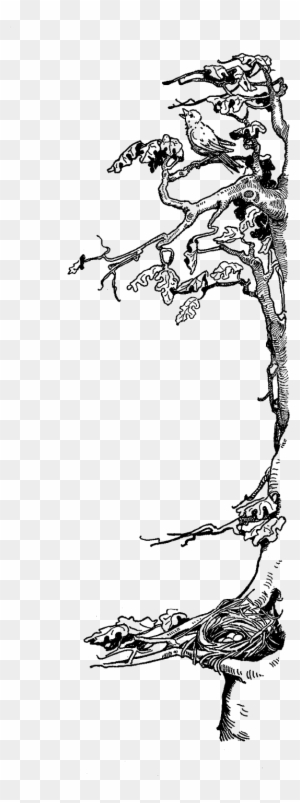 I Created This Lovely Tree Digital Stamp From A Vintage - Illustration ...