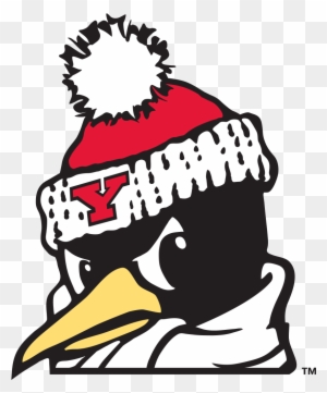 Youngstown State University Penguins, Youngstown, Oh - Youngstown State ...