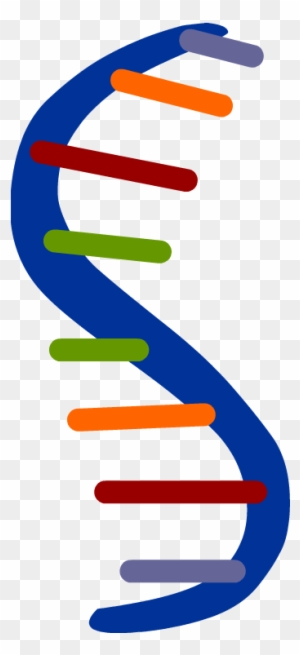Rna-seq - Free Transparent PNG Clipart Images Download