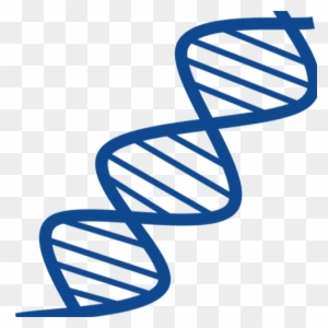 Rna Clip Art, Transparent PNG Clipart Images Free Download - ClipartMax