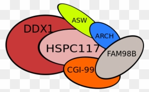 Protein Components - - Circle - Free Transparent PNG Clipart Images ...