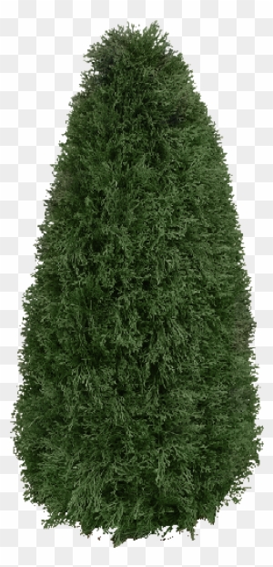 Topiary - Free Transparent PNG Clipart Images Download
