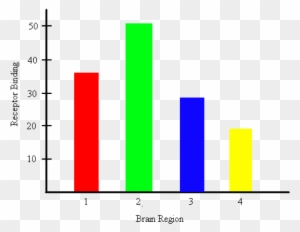 Blank Graph Chart