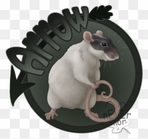 Rat, Transparent PNG Clipart Images Free Download , Page 2 - ClipartMax