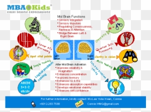 For More Information Please Visit Www - Mid Brain Activation Exercises ...