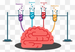 Brain Learning Cognitive Training Mind - Brain Image Transparent ...