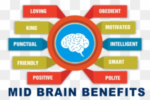 Computer Calculation Speed - Benefits Of Mid Brain Activation - Free ...