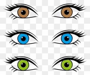 Eyes Eye Color Iris Brown Blue Png Image - Three Eye Colors - Free ...