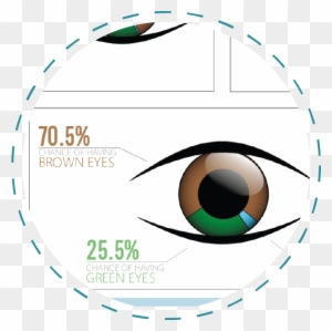Chromo2 Blue Eyes Child Probability Calculator - Chance Of Having Blue ...