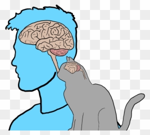 Brain Cat - Brain Cat Blazblue - Free Transparent PNG Clipart Images ...