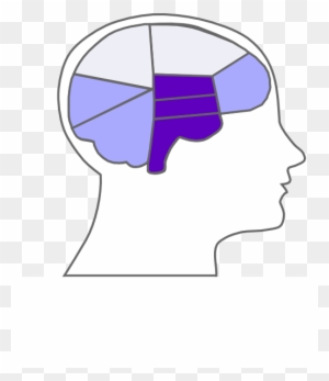 Download Brain Stock Photos - Brain Wrapped In Chains - Free ...