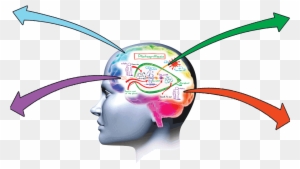 Memory Improvement Brain Cognitive Training Clip Art - Thinking Head ...