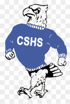 Skyridge Falcons - Skyridge High School Logo - Free Transparent PNG ...