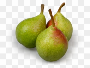 Pera Santa Maria - Asian Pear - Free Transparent PNG Clipart Images ...