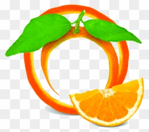 Fruit Frame - Orange Fruit Photo Frame - Free Transparent PNG Clipart ...