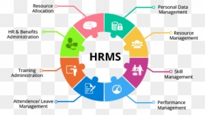 Human Resources And Management - Human Resource Png Icon - Free ...
