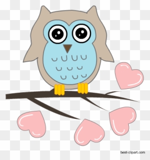 Baby Owl On Branch Clipart