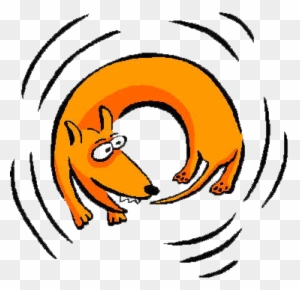 Chase Your Tail / Run Around Like A Headless Chicken=dar - Dog Chasing ...