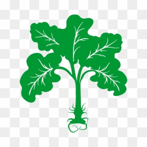 Frank Polizzi - Free Transparent PNG Clipart Images Download