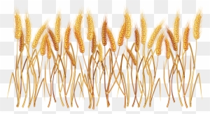 Wheat Crown Vector Png