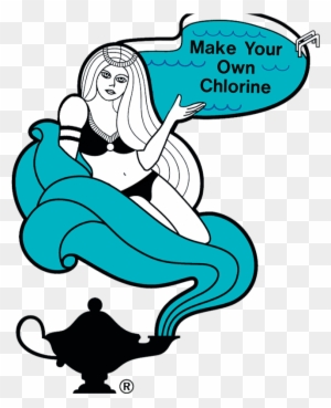 Swim In Fresh Not Salt Water - Chlorine - Free Transparent PNG Clipart ...