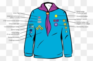 Beaver Scout Badges Clipart - Beavers Badge Positions - Free ...