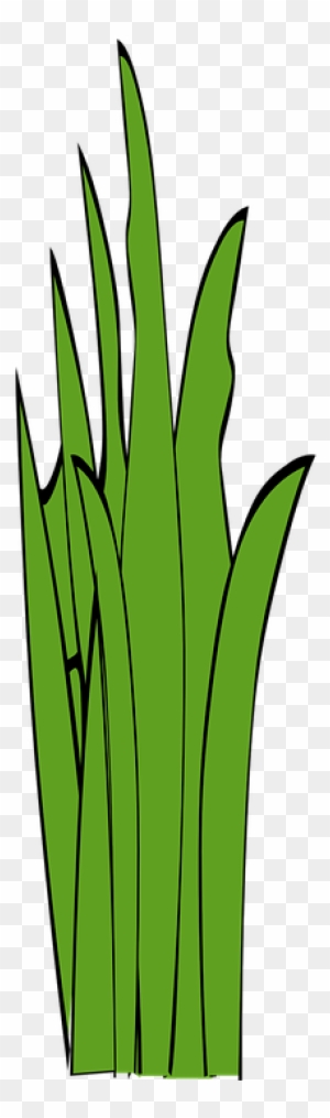 Noxious Weed Clipart