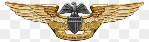 Us Navy Warfare Pins - Professional Aviation Maintenance Officer - Free ...