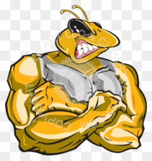 Strong Hawk - Free Transparent PNG Clipart Images Download