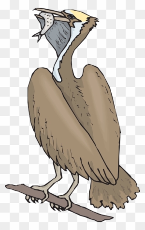 Bird Eating Clipart, Transparent PNG Clipart Images Free Download ...