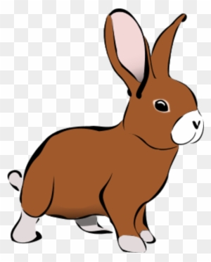 Rabbit Vector - Rabbit Clip Art - Full Size PNG Clipart Images Download