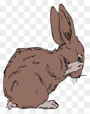 Rabbit Free Vector - Jack Rabbit Clipart - Free Transparent PNG Clipart ...