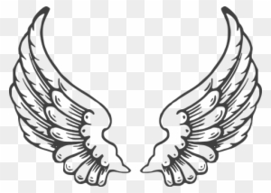 Feather Wing Clipart