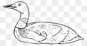 Loon Clip Art - Flying Loon Drawing - Free Transparent PNG Clipart ...