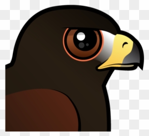 About The Harris Hawk - Harris's Hawk - Free Transparent PNG Clipart ...