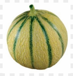 Melon Charentais Petit - Charentais Melon - Free Transparent PNG ...