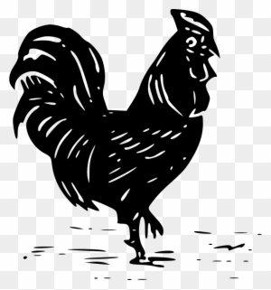 Polish Chicken - Polish Chicken Drawing - Free Transparent PNG Clipart ...