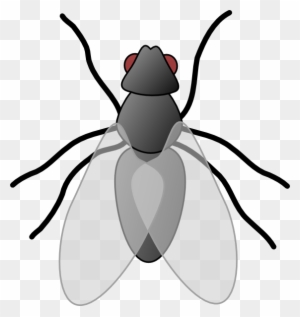 Fly Clip Art - Insect Clipart - Free Transparent PNG Clipart Images ...