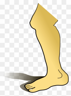 Clip Art Details - Leg Clip Art - Free Transparent PNG Clipart Images ...