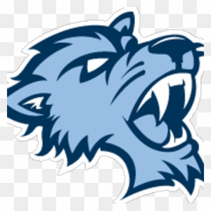 Baruch Admissions - Baruch College Bearcats - Free Transparent PNG ...