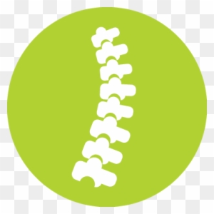 Spinal Injury, Transparent PNG Clipart Images Free Download - ClipartMax