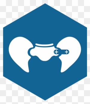 Fusion Aerobics Image - Health And Wellness Icons Png - Free ...