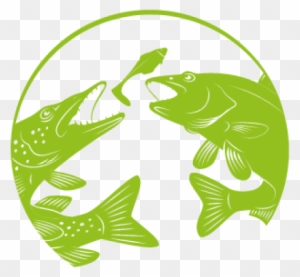 Zander Smartbeard Zander Smartbeard - Cartoon Characters With Beard ...