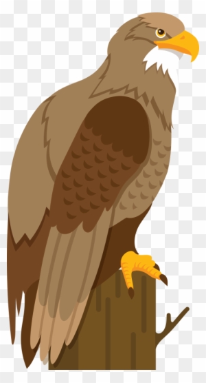 Bald Eagle Boxing Hawk Illustration - Boxing Eagle - Free Transparent ...