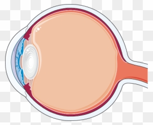 Cataract - Cataract Surgery - Free Transparent PNG Clipart Images Download