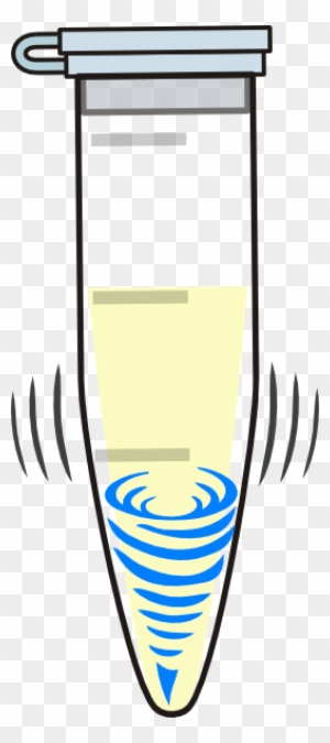 Closed Eppendorf Tube White Clip Art At Clker - Eppendorf Tube Icon ...