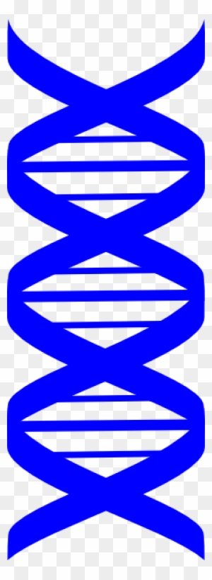 Dna Strand Transparent Background - Free Transparent PNG Clipart Images ...